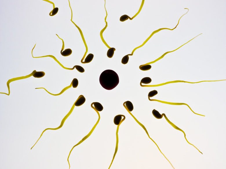 Do You Think Sex During Safe Period Is Actually ‘safe
